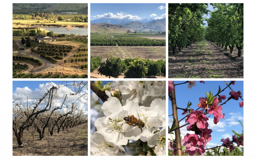 Farm to School Program – The Berry Man, Inc.